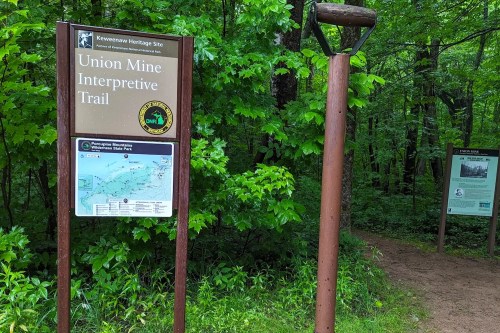 The Historic Reason Why Michigan Is Called The Wolverine State