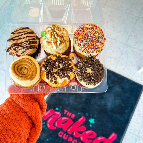 Best Cupcakes in Orlando Florida: The Naked Cupcake