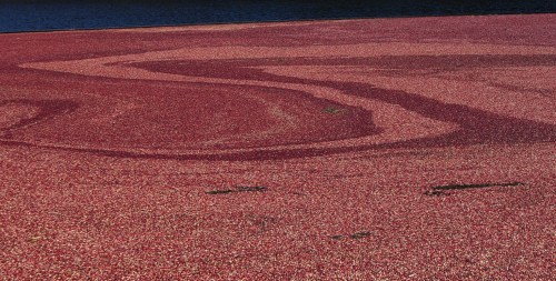 Wareham, Massachusetts is Worth a Visit