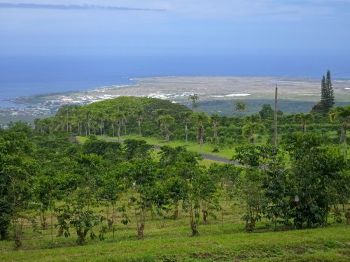 Holualoa, Hawaii: Small Town in Hawaii Worthy of a Visit
