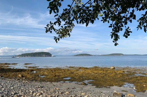 Just Like Sweden in the Summer: Bar Harbor, Maine