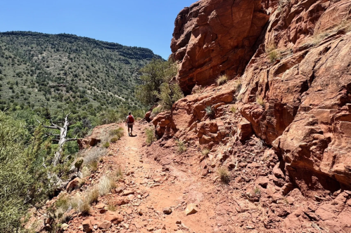 Best Summer Hikes in Arizona: Bell Trail