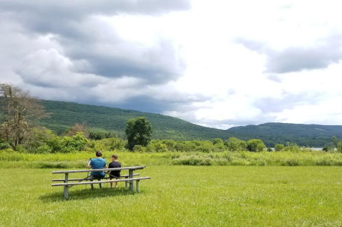 9 Weird Laws in Pennsylvania That You Might Not Know