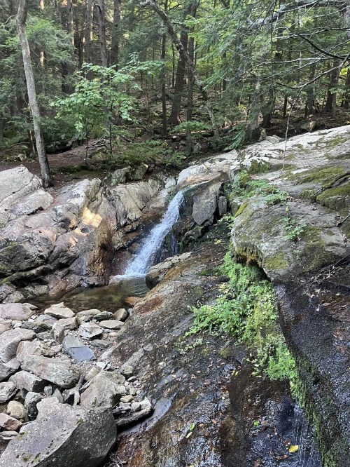 19 Vermont Swimming Holes That Will Make Your Summer Great