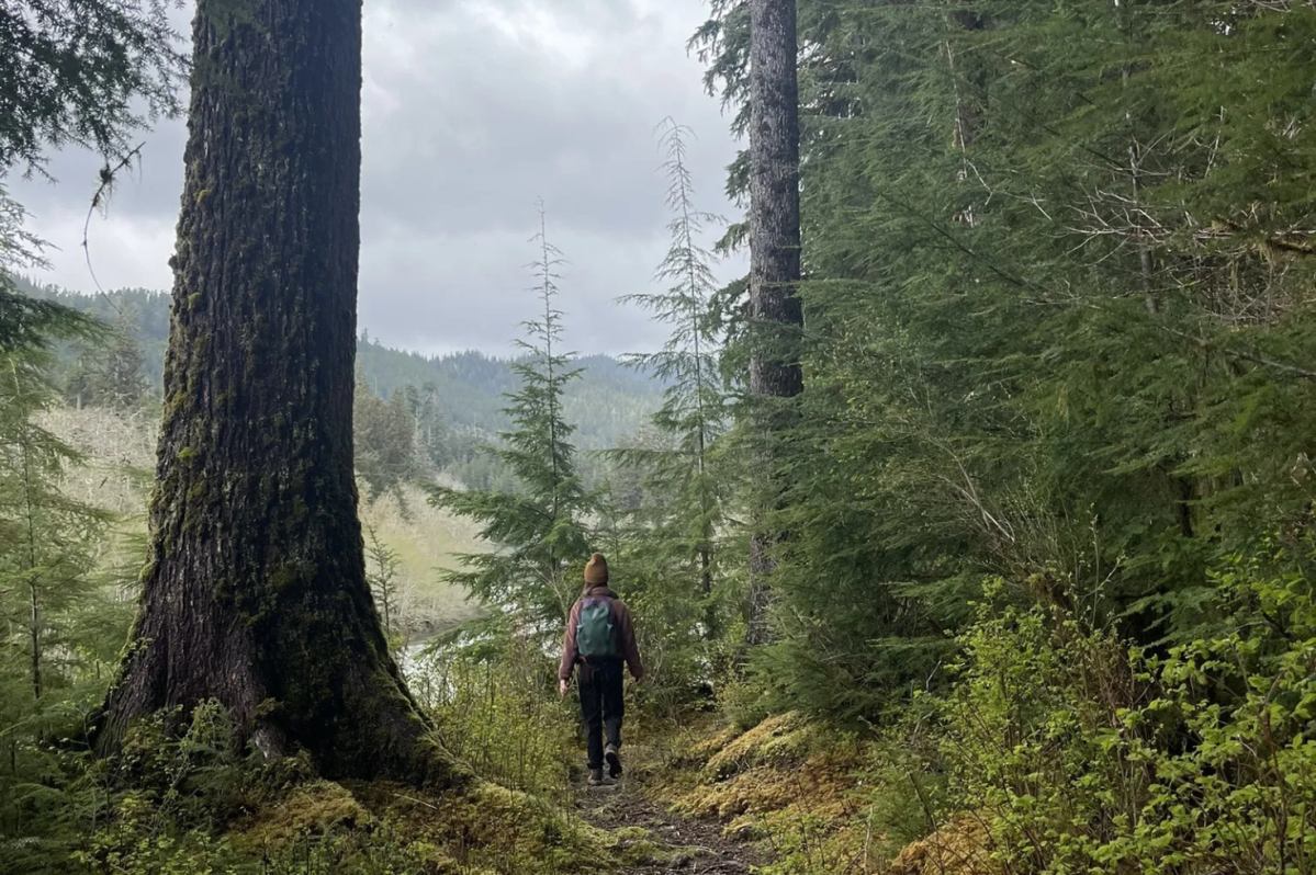 Queets River Valley: A Peaceful Corner in Washington's Olympic National ...
