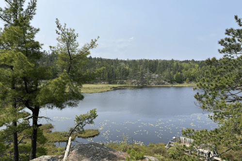 Beat the Winter Blues by Exploring Fort Custer Recreation Area in ...