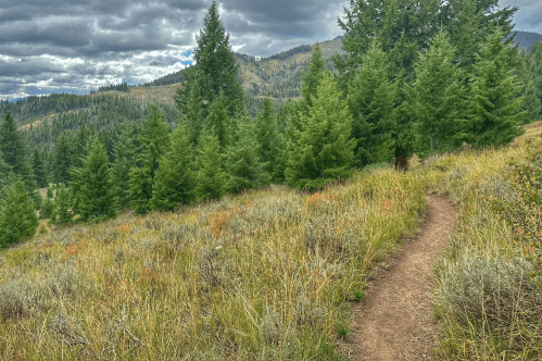 The Small Idaho Town Of Buhl Is The Trout Capital Of The World And It's ...