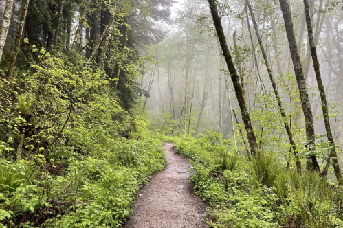 Take This Creepy Ghost Town Road Trip In Washington