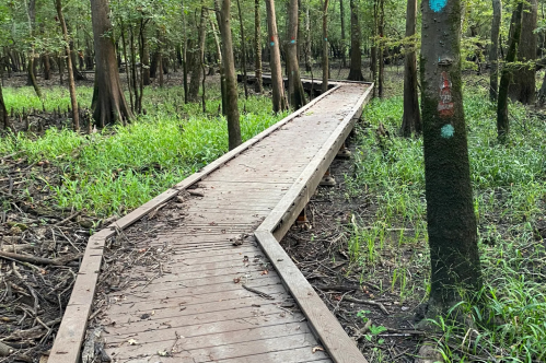 Donkey Lady Bridge: Haunted Bridge In San Antonio, Texas
