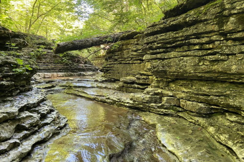 This Arkansas Waterfall Road Trip Takes You to 13 Waterfalls