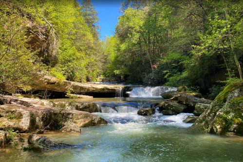 The 17 Best State Parks In Kentucky To Visit ASAP