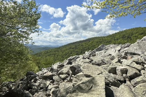 Back Of The Dragon: The Most Terrifying Drive In Virginia