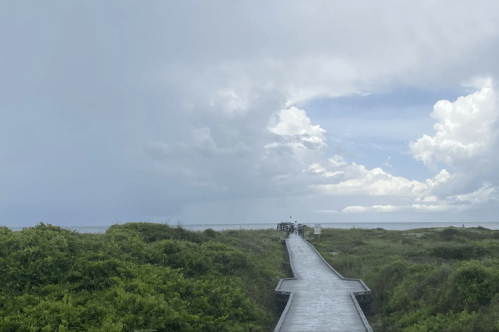 Loop Road Scenic Drive: A Journey Though The Florida Everglades