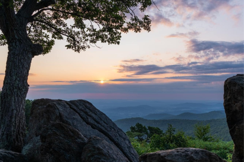 Best Places To Visit In Virginia In The Fall: 19 Lovely Destinations