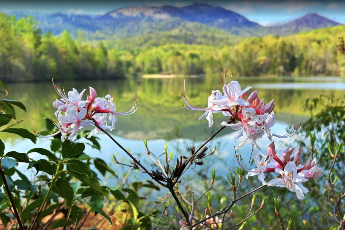 Visit Table Rock State Park's Pinnacle Lake Trail