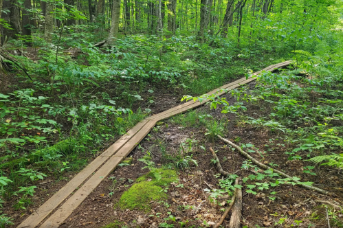 The Former Resort Town Of Idlewild Michigan Is Full Of History