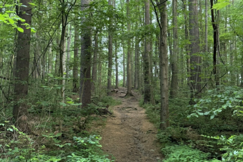 Murphin Ridge Inn: A Heavenly Bed & Breakfast In Ohio