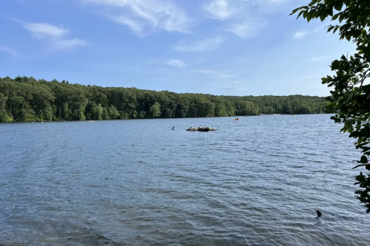 Lincoln Woods State Park: An Oasis for Kayaking in Rhode Island