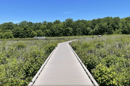 Bluebird Gap Farm: An Admission-Free Petting Zoo In Virginia