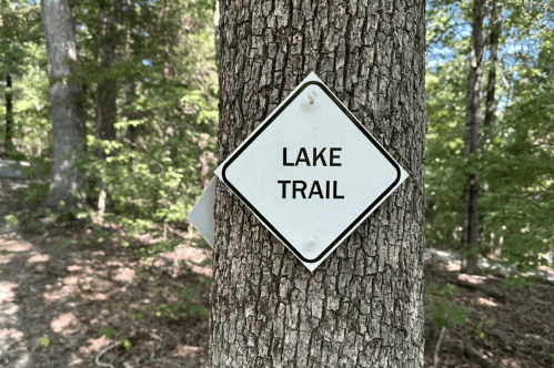 Take A Scenic Amtrak Train Ride In The Appalachian Mountains