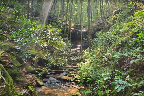 The 17 Best State Parks In Kentucky To Visit ASAP