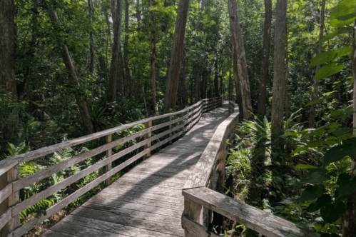 The Top 12 Weird Roadside Attractions In Florida