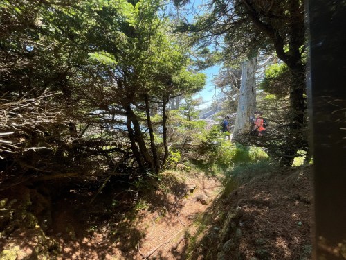 Isle Au Haut Is Home to a Remote Hike in Acadia National Park