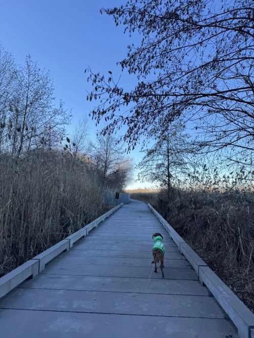 This Beach Hike on the Jersey Shore Is a Perfect Summer Escape