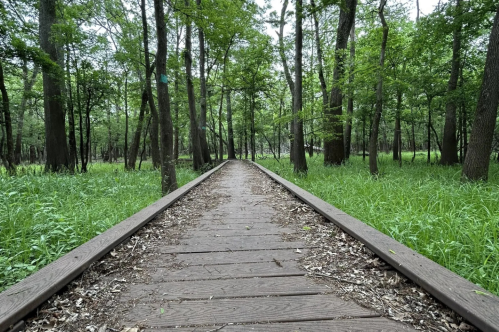 Hiking Trail in TX With Strange Name: Knobby Knees Trail