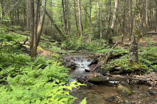 Best Springtime Destination in Georgia: Visit Gibbs Gardens in Ball ...
