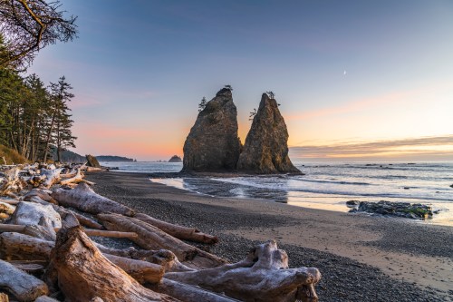 A Small Town Near Olympic National Park Worth a Visit