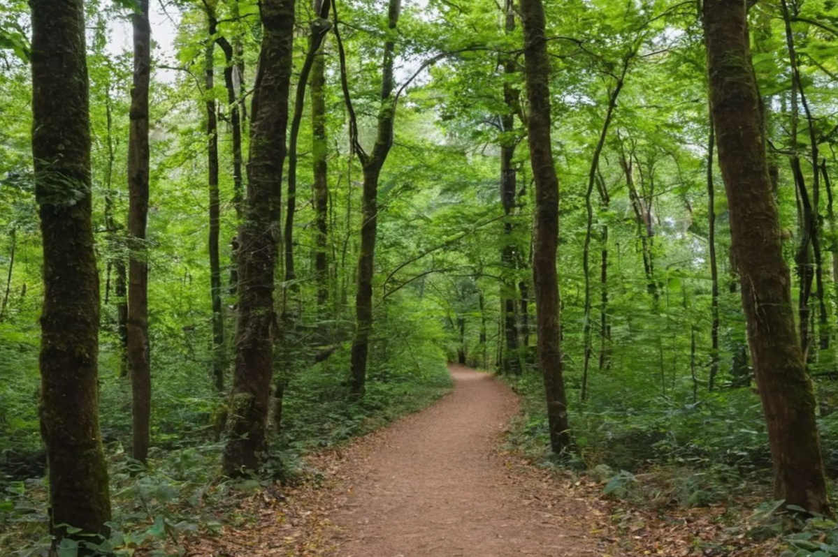 This Is Officially the Strangest Hiking Trail Name in South Carolina