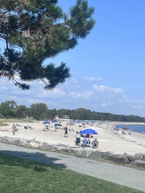 Sherwood Island State Park: Best Fishing Park in Connecticut