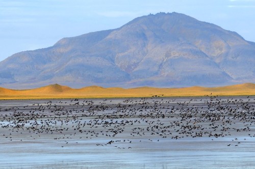 The Best Alaska Urban Legends, Myths & Folklore