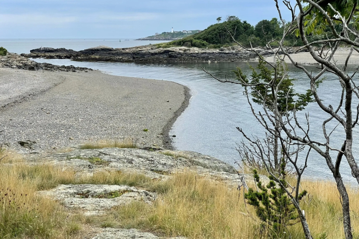Misery Island Reservation Loop: Strange Trail Name in MA