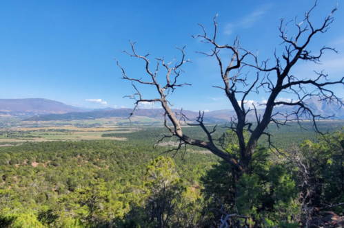 Family FunPlex Is An Epic Indoor Water Park In Colorado