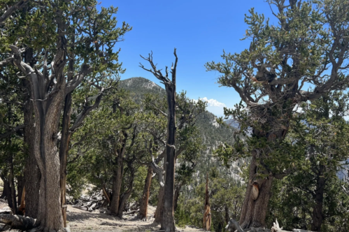 3 Rivers For Summer Lazy River Tubing In Nevada