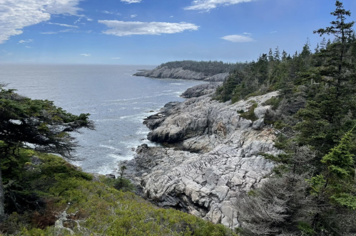 Red Snapper Hot Dogs: An Iconic Maine State Fair Tradition