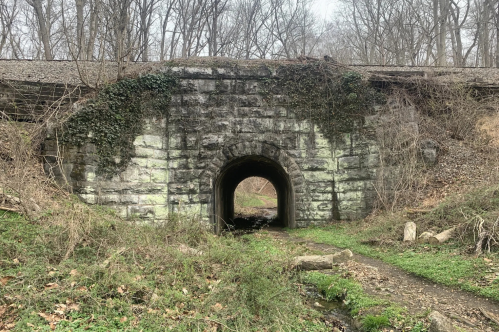 Cascade Falls Loop: One Of The Best Waterfall Hikes In Maryland