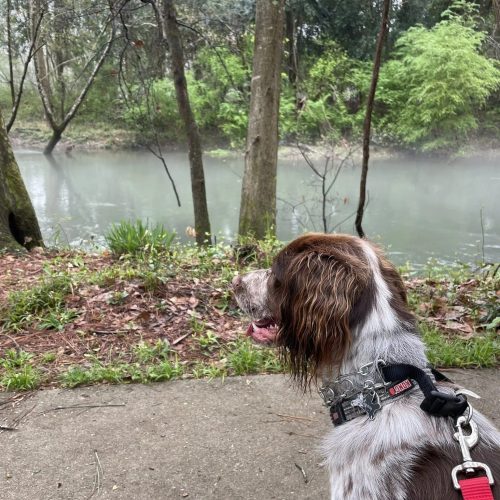 My Favorite Park in South Carolina Is a Little‑Known Paradise for ...