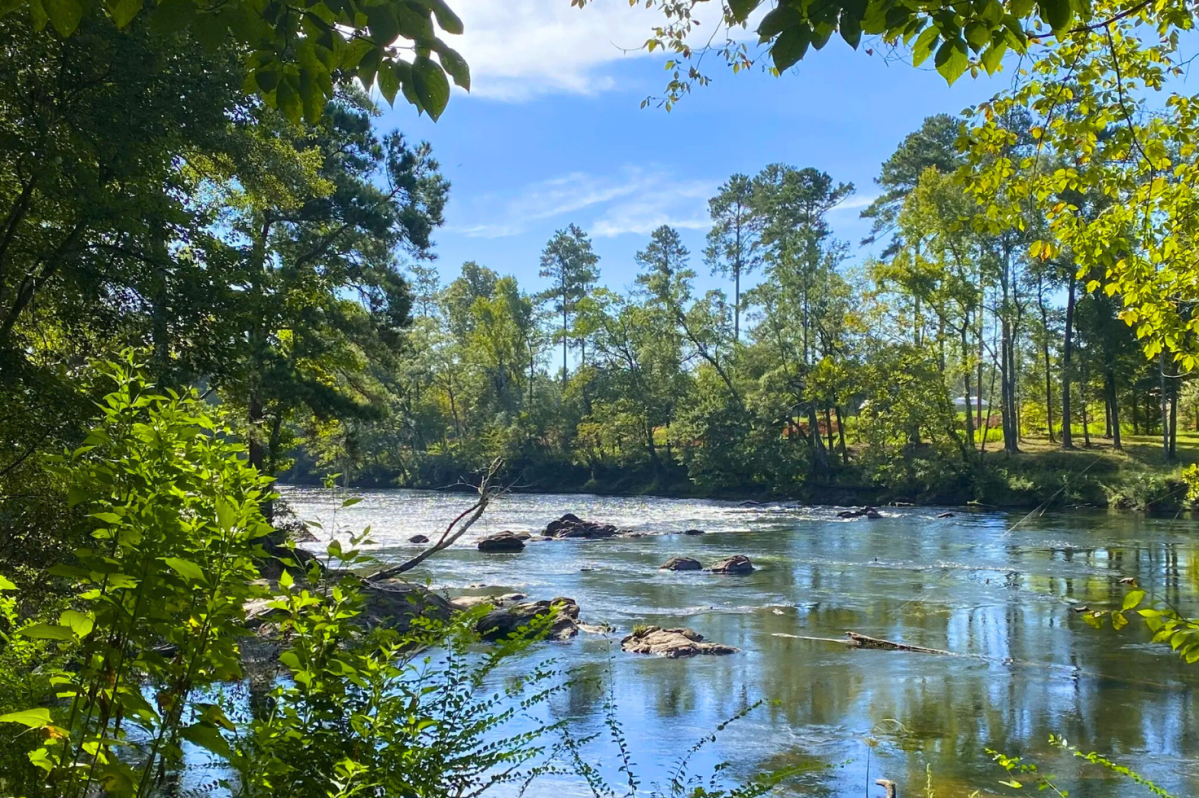 My Favorite Park in South Carolina Is a Little‑Known Paradise for ...