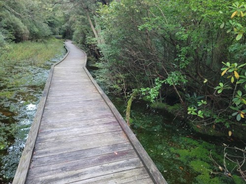 This Hidden Trail in High Point State Park Is a Peaceful New Jersey Escape