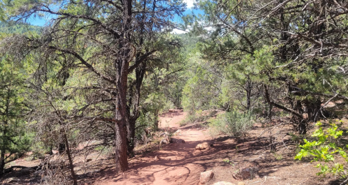 The Lorax Trail: The Most Unusual Hiking Trail Name in Colorado