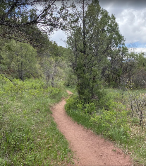 The Lorax Trail: The Most Unusual Hiking Trail Name in Colorado