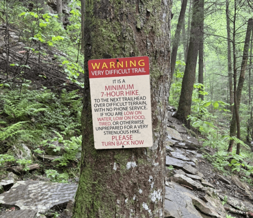 The Fiery Gizzard Trail Is One of the Hardest Hikes in Tennessee