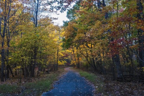 This Hidden Trail in High Point State Park Is a Peaceful New Jersey Escape