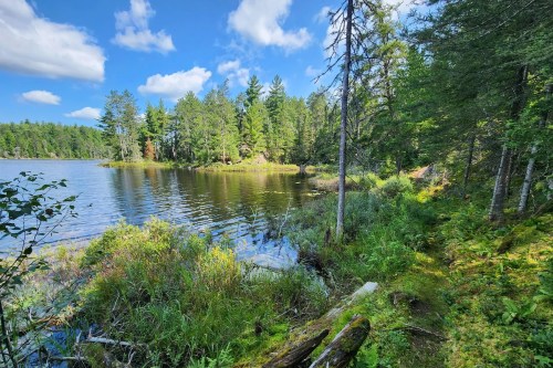 Deer Lake in Minnesota: Clearest Lake In The State
