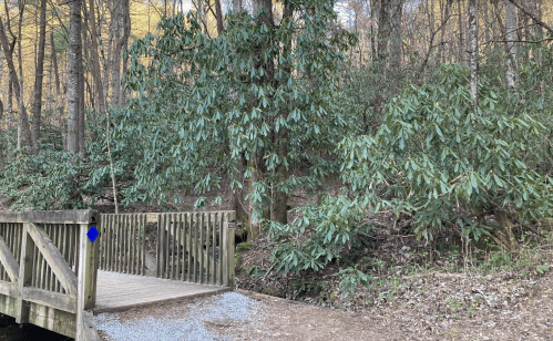 Hike the Black Rock Lake Trail in Georgia