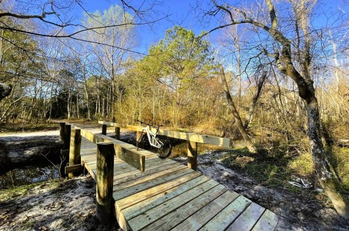 Visit Lexington, Mississippi: Home To The Best Historic District