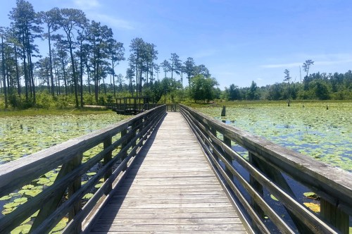 Nature | Only In Georgia